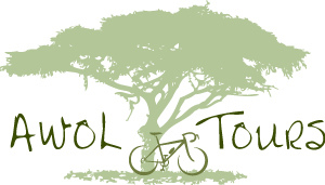 From Coast to Karoo: AWOL’s Epic Garden Route Adventure | Southern ...